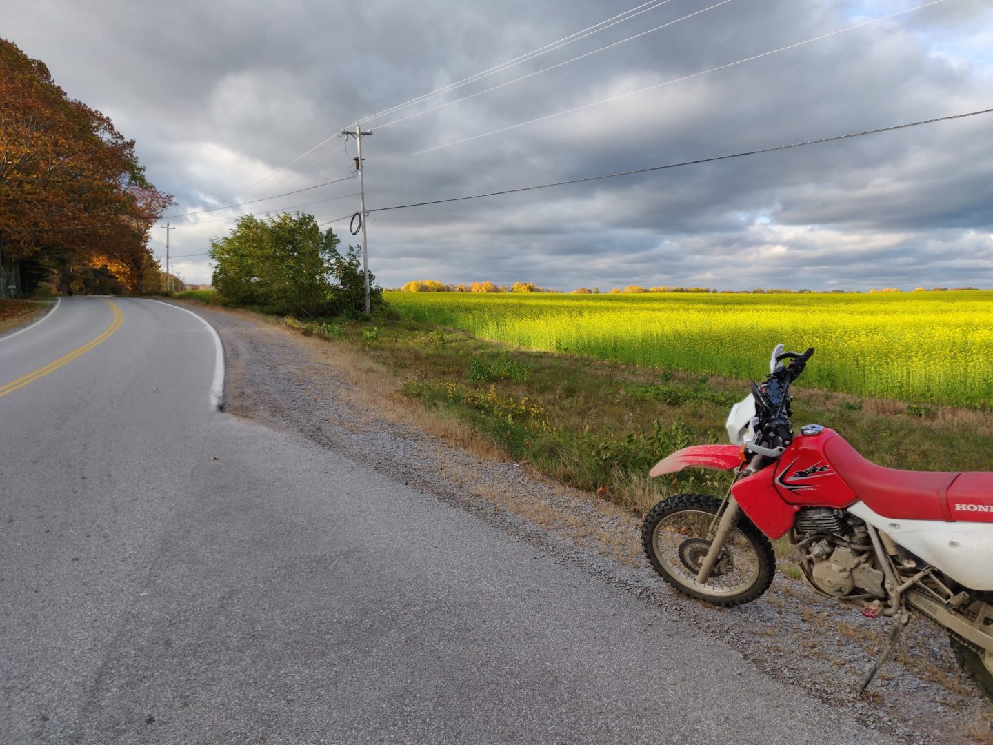 Arduino Powered igus DryLin Camera Slider – jadz